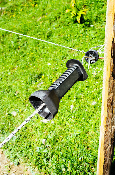 ⚡ Instalación de cercas eléctricas 🏡