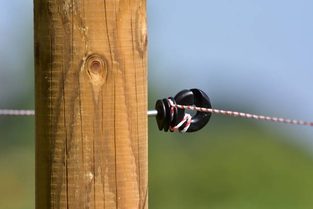 ⚡ Instalación de cercas eléctricas 🏡