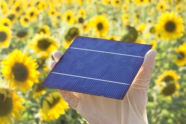 🌞 Celdas Solares Energía Renovable Conoce cómo Funcionan